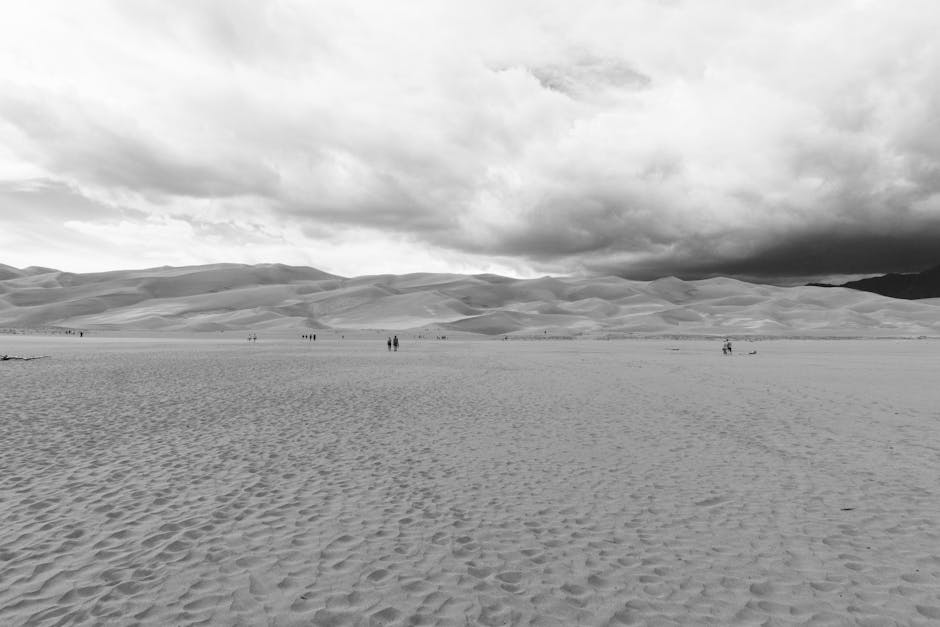 ℹ Consecuencias y Efectos: ¿Qué pasa si como Queresa de Mosca?